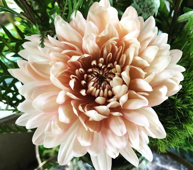 Gunnar Olivier Design | Michigan Design