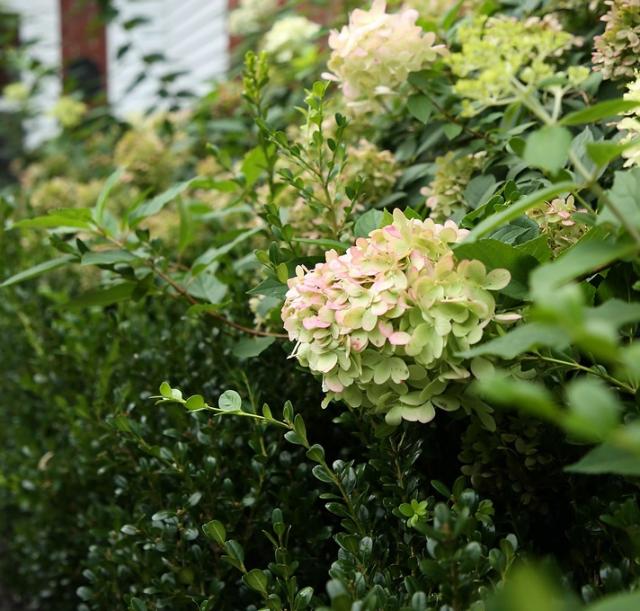 Gunnar Olivier Design | Michigan Design